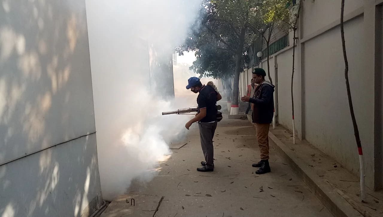 Fogging Service - Tiger Pest Control Co.